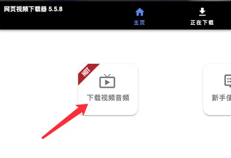 教程 如何下载网页视频
