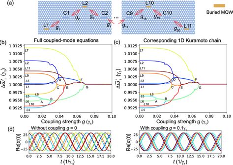 a schematic of a chain of eleven indirectly coupled phc lasers that