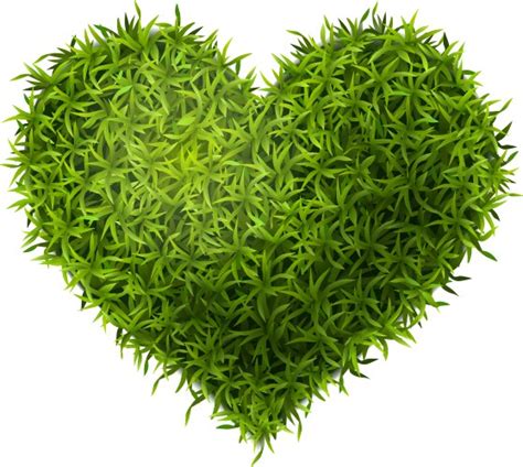 Grass Circle 3d Green Plant Grassy Round Field Vector Image