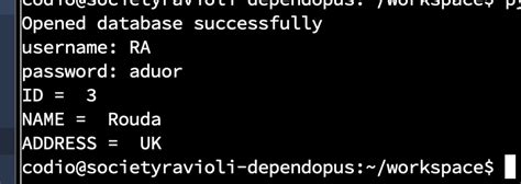 GitHub RoudaAlhajri Queens Py