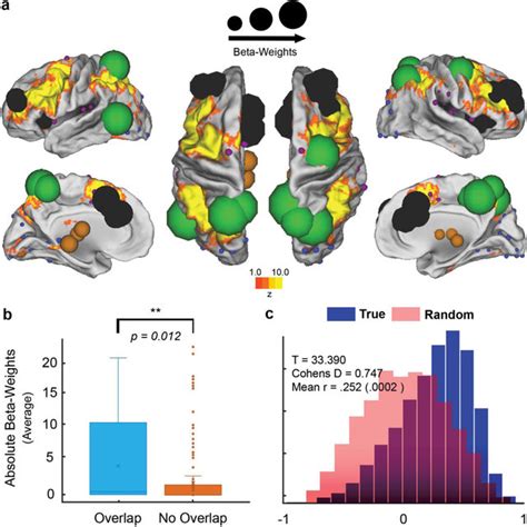 Methods Overview For Combining Resting State Functional Connectivity Download Scientific