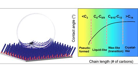 Properties Of Self Assembled Monolayers Revealed Via Inverse Tensiometry Langmuir