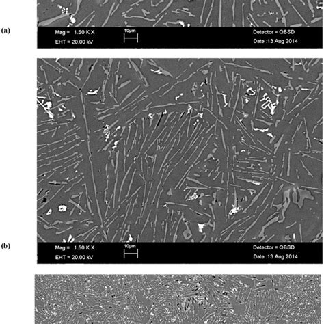 Micrographs From Transverse Section Of Directionally Solidified