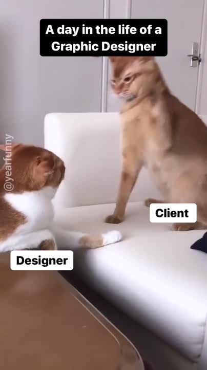 Md Shah Alam On Linkedin It Is Our Real Life🤣🤣🤣