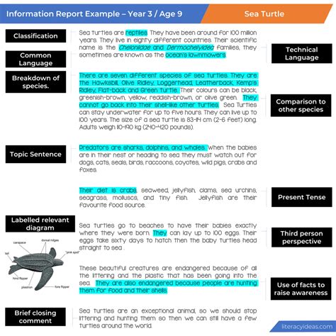 How To Write An Excellent Information Report