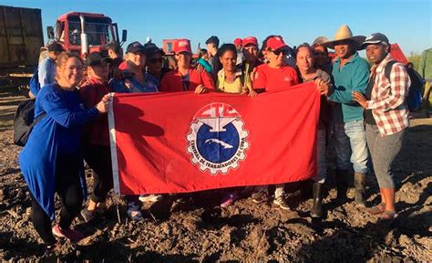 A la siembra de caña por el Primero de Mayo CMHW