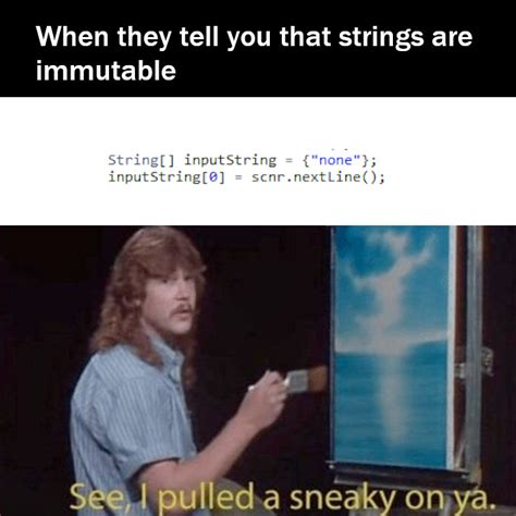 when they tell you that strings are immutable r programmerhumor