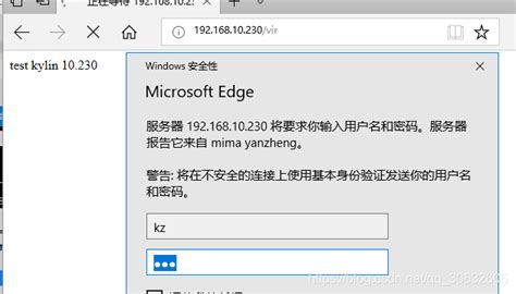 使用apache搭建web服务器 apache seatunnel web配置界面 csdn博客