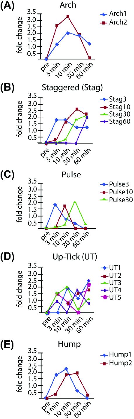 Profile Clustering Identifies 16 Principal Upregulation Expression