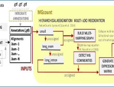 Contextmap 2 Fast And Accurate Context Based Rna Seq Mapping Rna Seq Blog