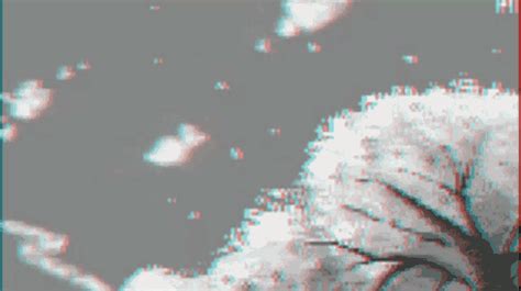 Tree Trees GIF Tree Trees Wind Descobrir E Compartilhar GIFs