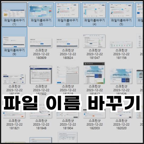 파일 이름 바꾸기 단축키 및 일괄 변경 방법 네이버 블로그