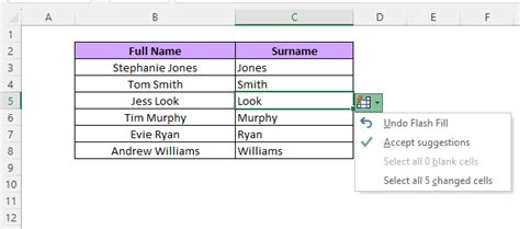 How To Use Flash Fill In Excel To Automate Work Chronicles Of Data
