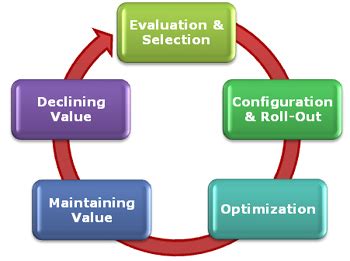 Managing The Stages Of An ERP Life Cycle Trek Global