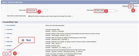 Salesforce Year Function With Examples