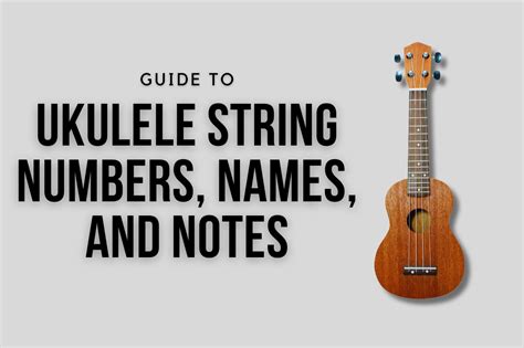 Guide To Numbers Notes And Names Of Ukulele Strings