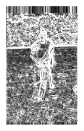 The Edge After Processing With The Template A The Original Image Download Scientific