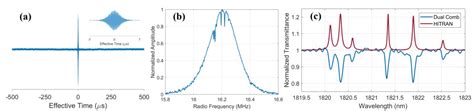 Dual Comb Spectroscopy