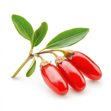 Wolfberry Fruit Isolated On Solid White Background Premium Ai