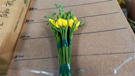 후리지아 생화 꽃집 꽃집창업 꽃값 온라인꽃시장 온라인꽃도매 인터넷꽃시장 인터넷꽃도매 서울꽃시장 꽃농장 꽃배송 생화배송 생화도매 생화택배 꽃배달 생화배달 생화주문 생화부케