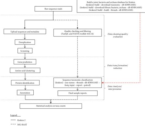 Overview Of The Workflow Used Kraken 2 And Mg Rast Presenting