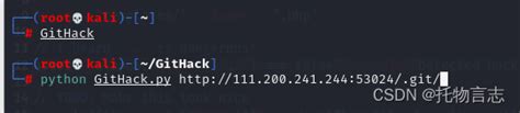 git源代码泄露 git 代码托管泄漏 csdn博客