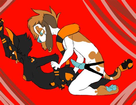 Rule 34 Animal Genitalia Anthro Breasts Canine Canine Penis Cybera