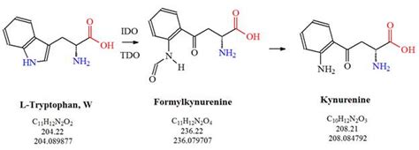 Tryptophan Pathway Analysis