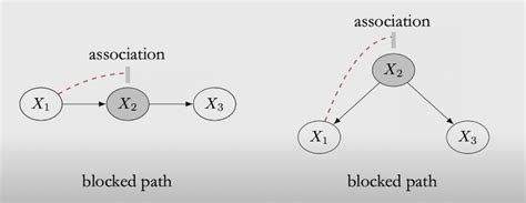 Structural Causal Model Data Shore