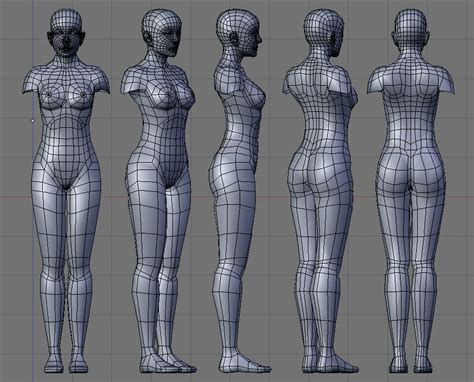 Topology Reference Character Model Sheet Character Modeling Female