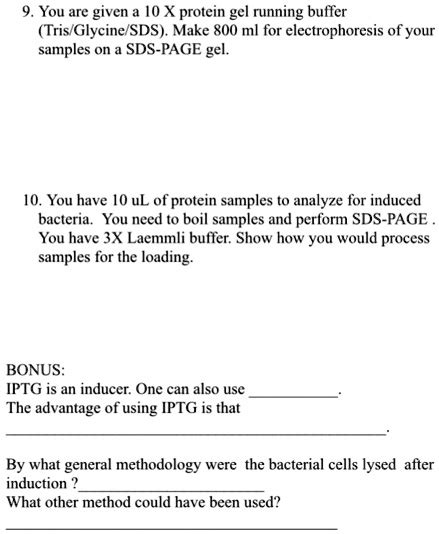 SOLVED You Are Given 10X Protein Gel Running Buffer Tris Glycine SDS Make 800 ML For