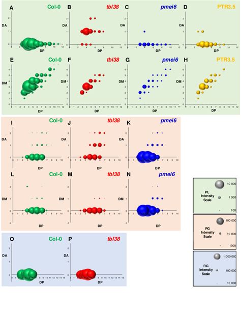 Enzymatic Profiling Reveals The Hg Acetylation Qualitative Phenotype Of