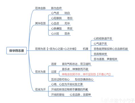 中医考研思维导图中基藏象心肺 哔哩哔哩