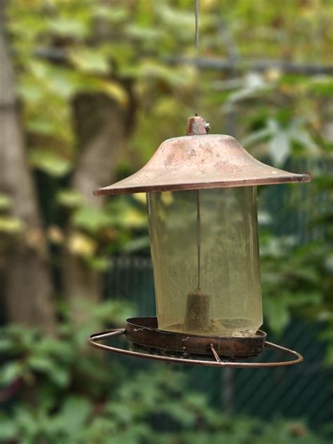 OnePlus Open Review Not Bad But Not Great Either Mashable