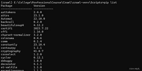 记一次python 在cmd和vscode中进入虚拟环境后pip环境不同想有没有大神指导一下如何解决 cmd pip install和