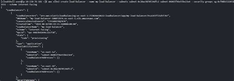 Implementing Load Balancer In Ec2 For Applications On Aws