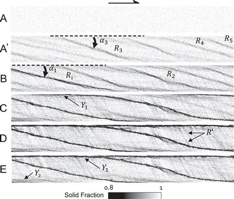 Solid Fraction Snapshots For Reference Sample Ms The Solid Fraction