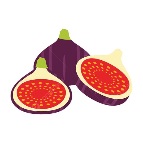 ناقلات التين تين المتجه فاكهة Png والمتجهات للتحميل مجانا