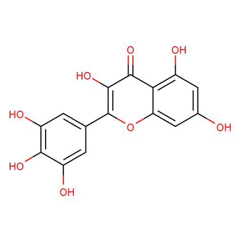 杨梅素 常州翔龙医药科技有限公司