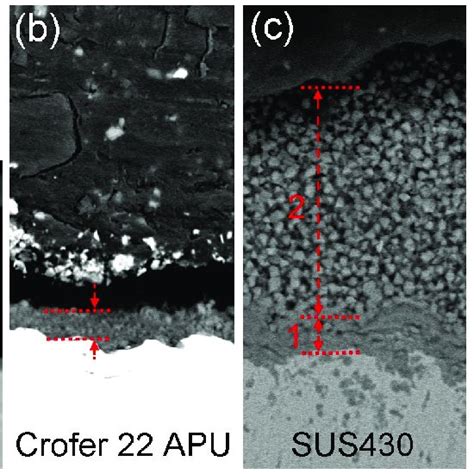 Pdf Plasma Sprayed Lsm Protective Coating On Metallic Interconnect Of Sofc