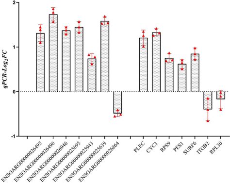 The Results Of The Real‐time Pcr Long Noncoding Rnas Lncrnas
