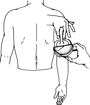Lab Practical Flashcards Quizlet
