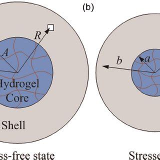 Schematic Drawing Of A Core Shell Structure Of The Download