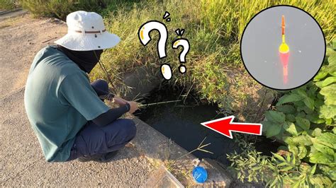 1평도 안되는 작은 물칸에서 낚시를하면 물고기가 잡힐까 Youtube