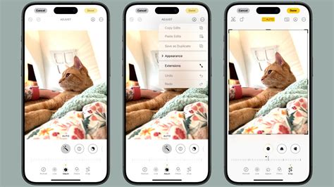 IOS Photos App All The New Features And Design Updates MacRumors