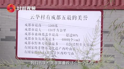 大熊猫国家公园设立一周年 人与自然和谐共生凤凰网视频凤凰网