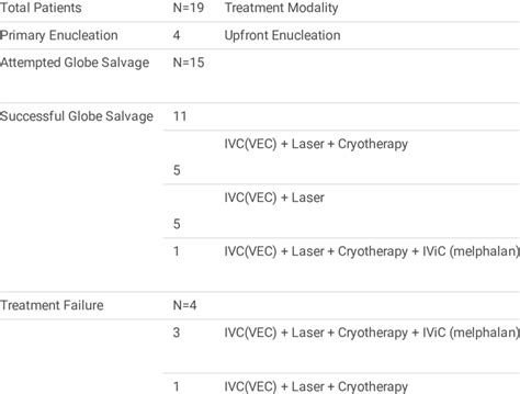 Treatment Combinations Offered Download Scientific Diagram