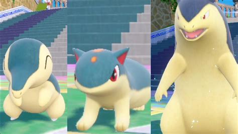 【ポケモンsv】 ヒノアラシ マグマラシ バクフーン モーション集 ピクニック【ポケモン スカーレット・バイオレット】 Pokémon