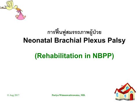 Rehabilitation In Neonatal Brachial Plexus Palsy Pptx