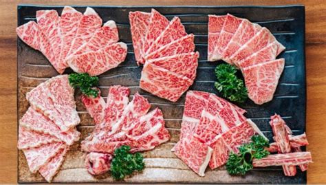 What Are The Grades Of Wagyu Tintorera